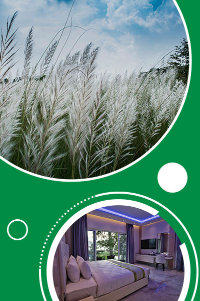 DERA Resort & Spa | A Destination for Relaxation & Rejuvenation in ...